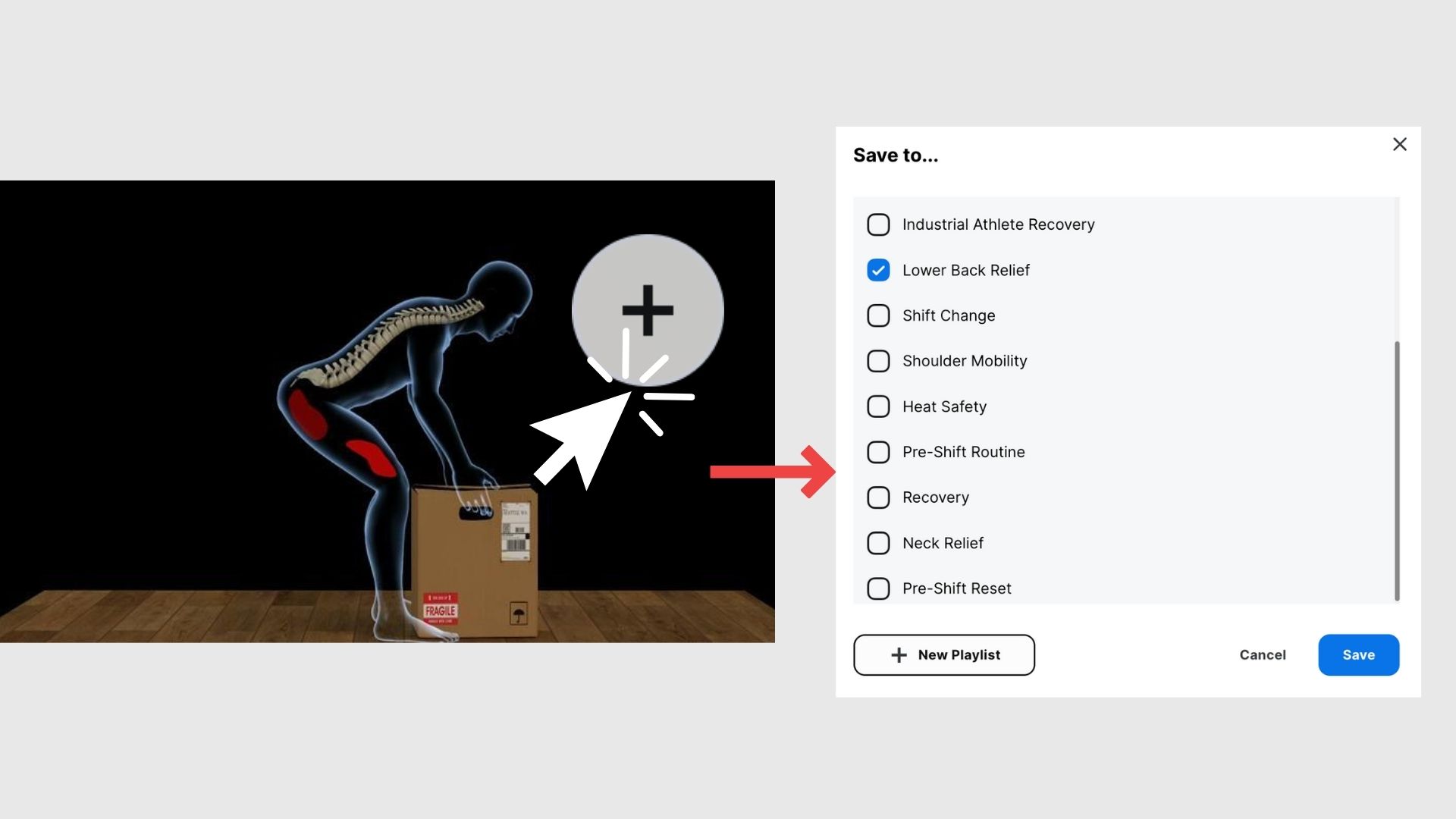 Content Library: Your One-Stop Hub for Safety and Movement Resources ...